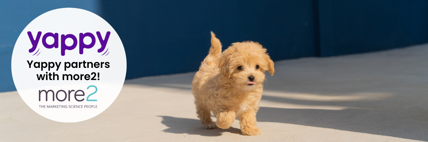 Yappy partners with more2!